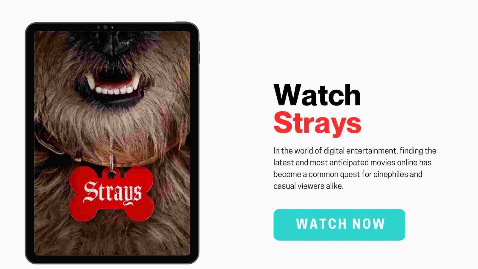 Simple Step To Watch Strays Online 2023 » GigaBunch